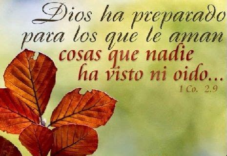 citas biblicas de abundancia dios Citas bíblicas Palabras de