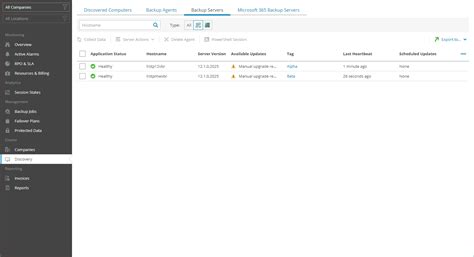 viewing and exporting veeam backup and replication server details veeam service provider console
