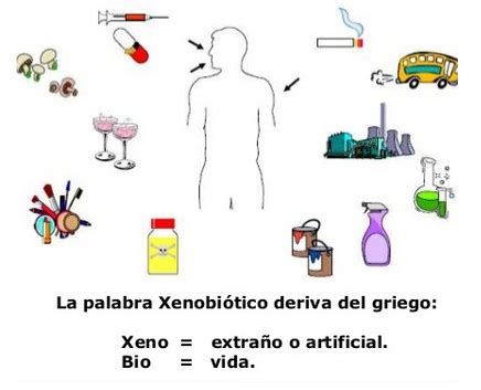 Conceptos de la toxicología Mind Map