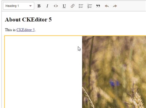 Chrome Safari The Selection Moves To The Beginning Of The Editor
