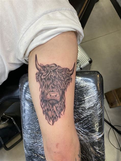 Highland Cow Tattoo Cow Tattoo Western Tattoos Bull Tattoos