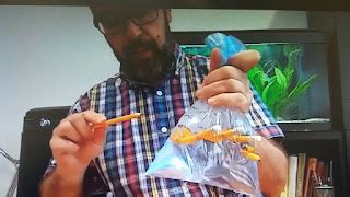 Experimentos sencillos para hacer en casa Los vídeos de Paco