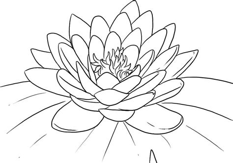 Dibujos De Flor De Loto Para Colorear E Imprimir