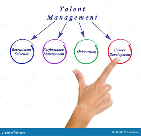 Diagram Of Talent Management Stock Photo Image Of Pointing