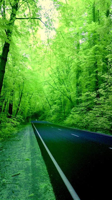 Green Nature Hd Wallpapers For Mobile Infoupdate Org