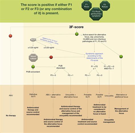 proposed algorithm for identification and classification of urinary download scientific diagram