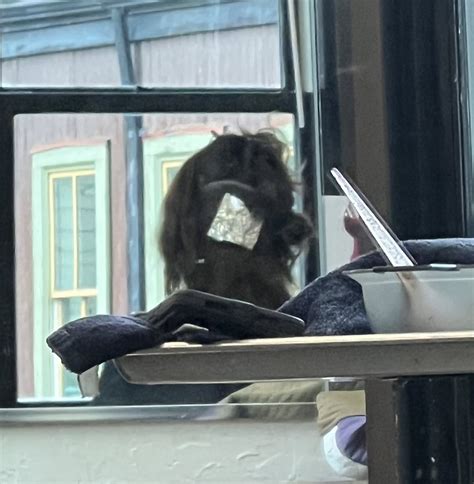 Manic Pixie Cowgirl On Twitter What Kind Of Pervert Bookmarks This Lol