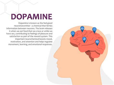 How Dopamine Affects The Brain