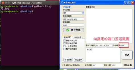 【从零学习python 】74 udp网络程序：端口问题与绑定信息详解 udp端口号会不断变化吗 csdn博客