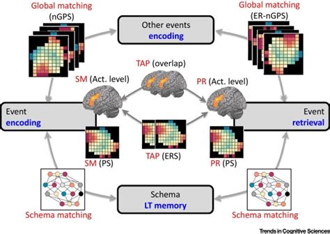 the neural representations underlying human episodic memory trends in cognitive sciences