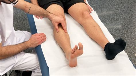Puntos Gatillo Tratamiento P G Músculo Tibial Anterior YouTube
