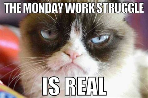 Funny Monday Work Memes To Survive The Start Of The Week