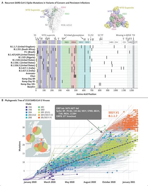 SARS CoV 2 Variants In Patients With Immunosuppression NEJM