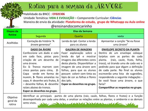Plano De Aula Dia Da Arvore Educação Infantil EDUKITA