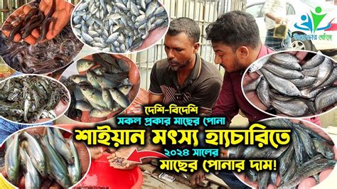 দশ বদশ সকল পরকর মছর পনর দম জনন শইযন মৎসয হযচরত
