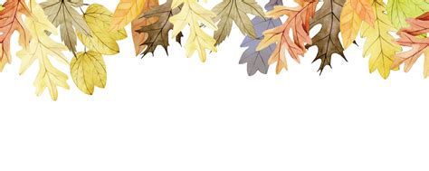 Watercolor Drawing Seamless Border Web Banner With Dry Autumn Oak