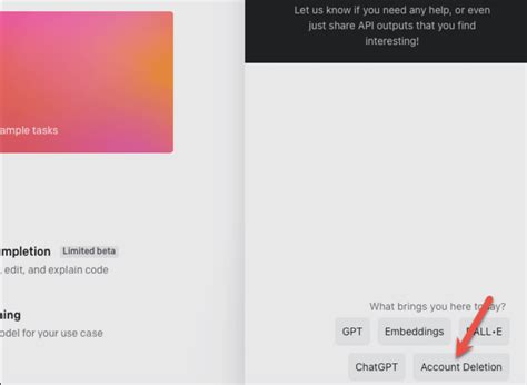 How To Delete Chatgpt Account With Data Tech Fresher