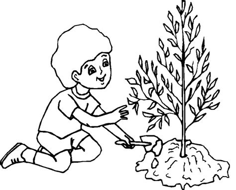 Dibujo de El niño está plantando un árbol para colorear Dibujos para