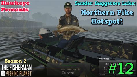 The Fisherman Fishing Planet S2 Sander Baggersee Lake Northern