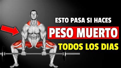 Desvelando el Misterio Cuánto Pesa Realmente una Barra de Gimnasio
