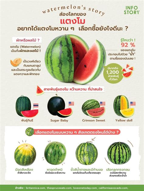 InfoStory สองโลกของ แตงโม อยากไดแตงโมหวาน ๆ เลอกซอยงไงดนะ