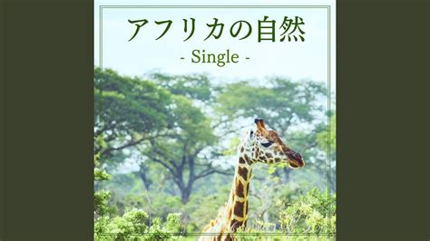 アフリカの自然 YouTube
