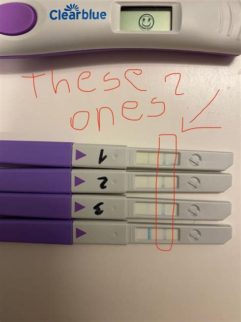 How To Read Clear Blue Ovulation Test Without Reader