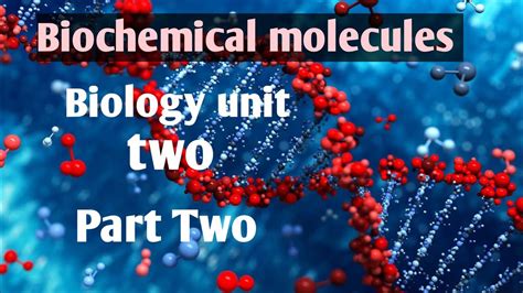 Biology Chapter Two Biochemical Molecules Remedial Class Part Two