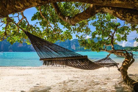 Hangmat Het Hangen Onder Exotische Boom Op Strand Met Wit Hieronder