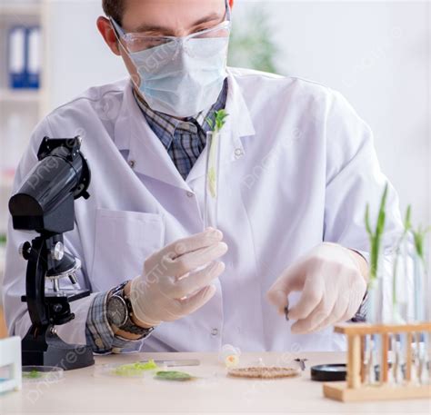O Bioquímico Masculino Trabalhando No Laboratório De Plantas Bioquímico