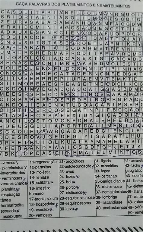 respostas caça palavras Português