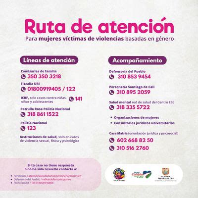 Ruta De Atenci N Para V Ctimas De Violencias Basadas En G Nero