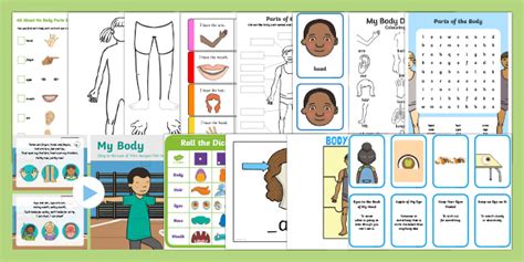 ESL Body Parts Resource Pack Teacher Made