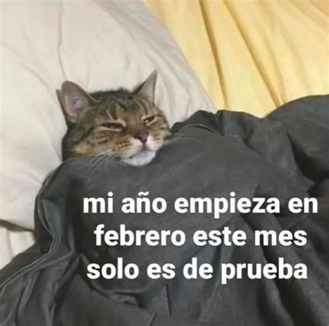 Mi año empieza en febrero este mes solo es de prueba Memes