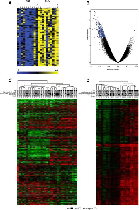 supervised and unsupervised analysis of gene expression and methylation download scientific