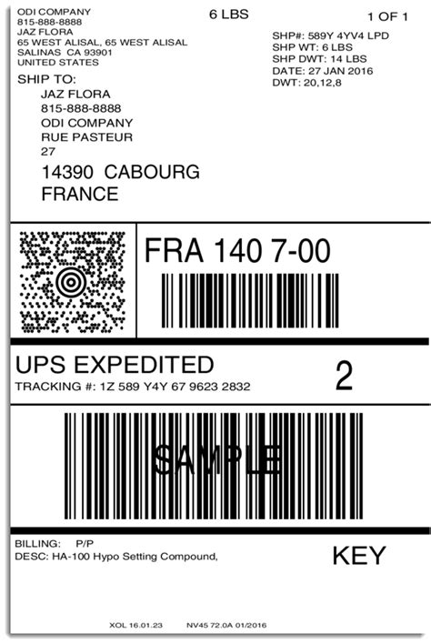 Ups Shipping Label Template Word Printable Word Searches