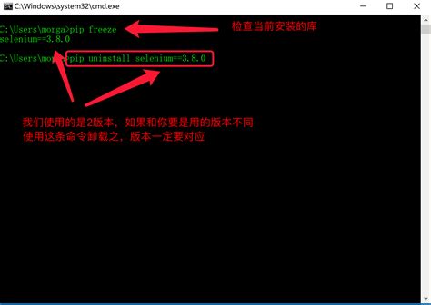 3 selenium的环境搭建 web自动化测试课程简介