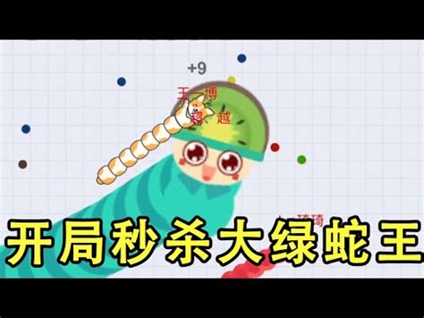 玩贪吃蛇大作战开局秒杀大绿蛇王看我如何操作贪吃蛇小星 YouTube