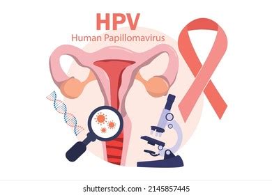 Hpv Virus In Women
