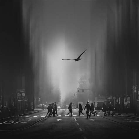 Las Mejores Fotograf As En Blanco Y Negro De En Los Monochrome
