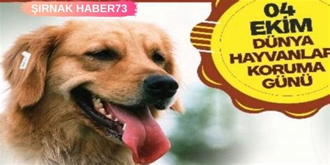 Hayvanları Koruma Gününün tarihi ve önemi nedir İşte 4 Ekim Hayvanları