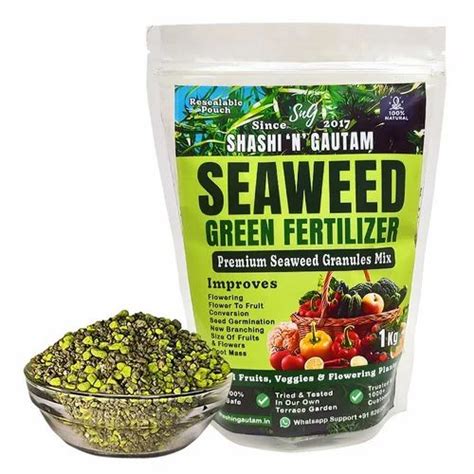 Seaweed Fertilizer At Rs Kg Powder Seaweed Extract Fertilizer In