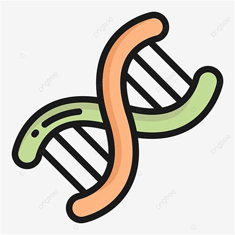 Genes Vector Icono Escuela Y Educación PNG dibujos Biología