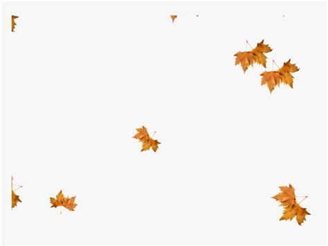 Realistic Falling Leaves Png Transparent Png Transparent Png Image