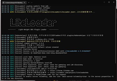 [进阶]如何在我的世界基岩版服务器上安装插件 liteloaderbds csdn博客