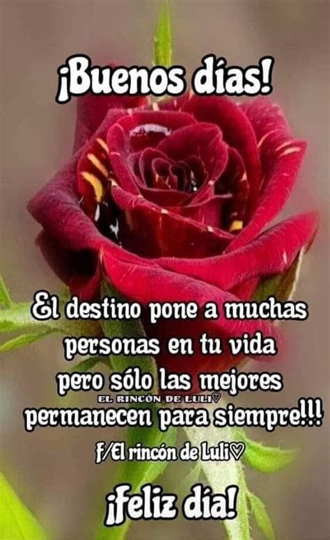 Pin De Montse Gutierrez Salomon En Reflexiones De Frases Bonitas