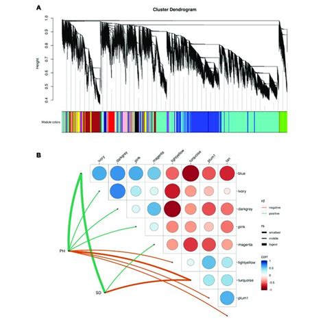 module trait relationship from weighted gene correlation network download scientific diagram