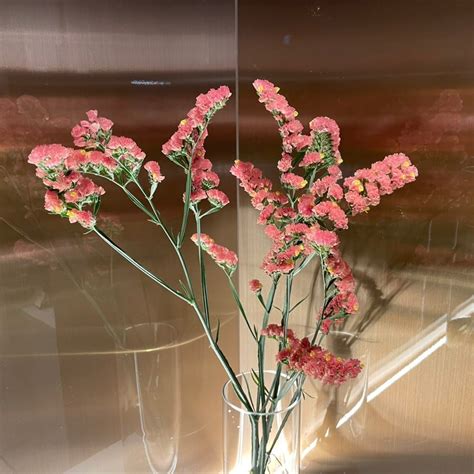 スターチスブリックオレンジ 花屋 はな輔