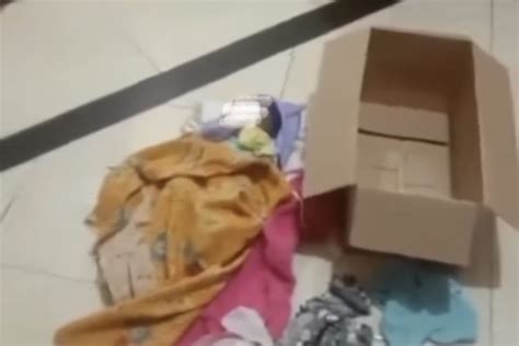Bayi Perempuan Ditemukan Dalam Kardus Di Kompleks Kejaksaan Agung Bekasi