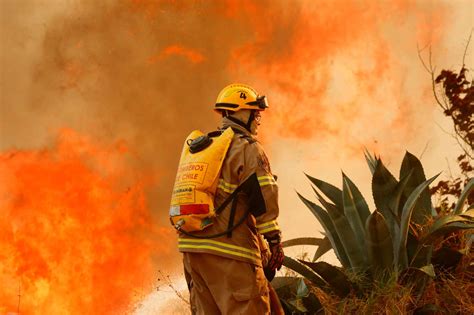 Declaran Alerta Roja para la comuna de Valparaíso por incendio forestal